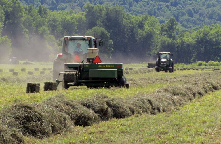 Hay For Sale | Timothy, Alfalfa, Orchard, Fescue, Bermuda, Grass Hay