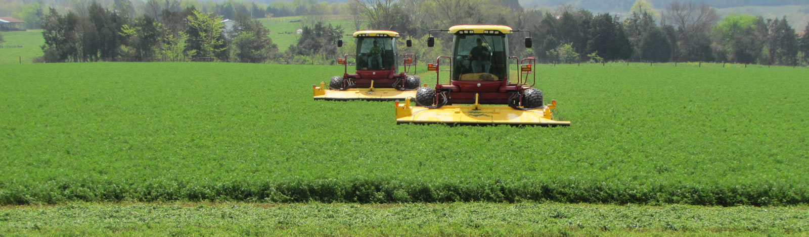 J & J Hay Farms - Exceptional Horse Hay