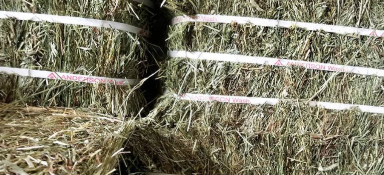 Benefits of High-Temperature Steaming of Horse Hay - J & J Hay Farms