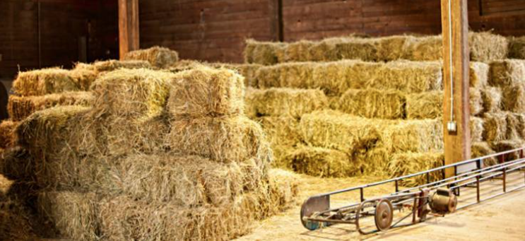 Sampling Techniques for Hay Analysis - J & J Hay Farms