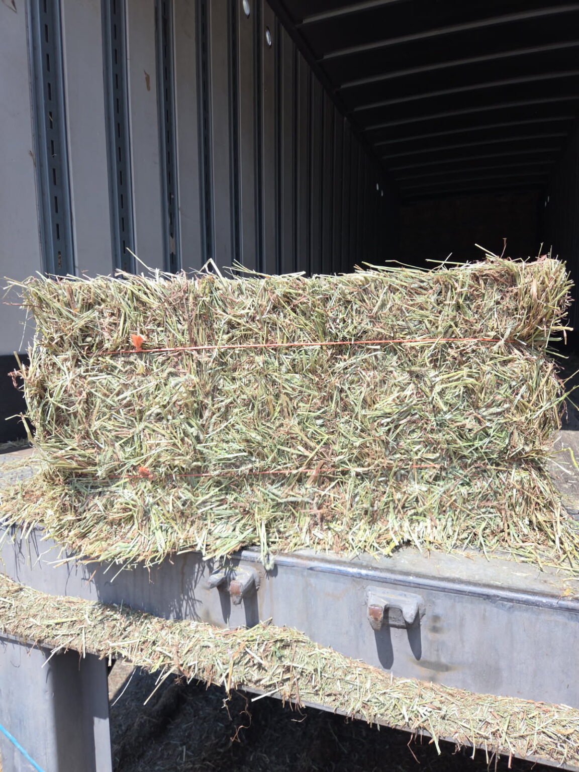 When is Hay Season in Georgia? - J & J Hay Farms